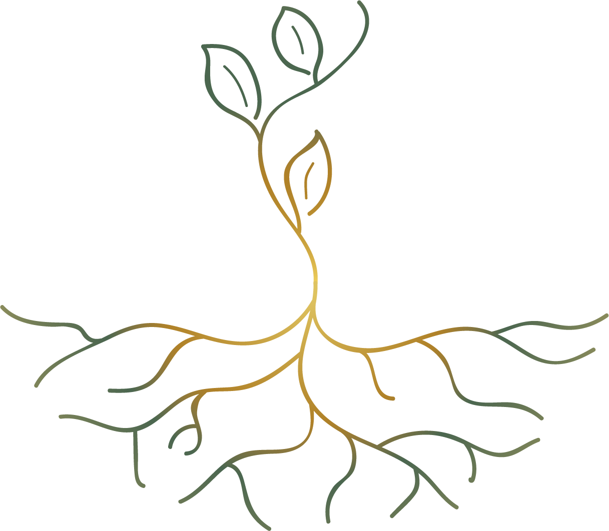 Root Connection - Root Connection